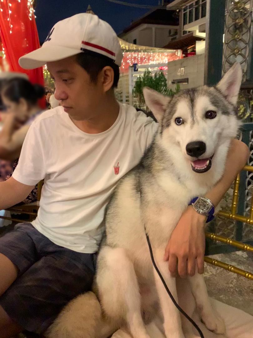 Rock It Like "Blue": The How-To Guide To Owning A Husky In Malaysia ...