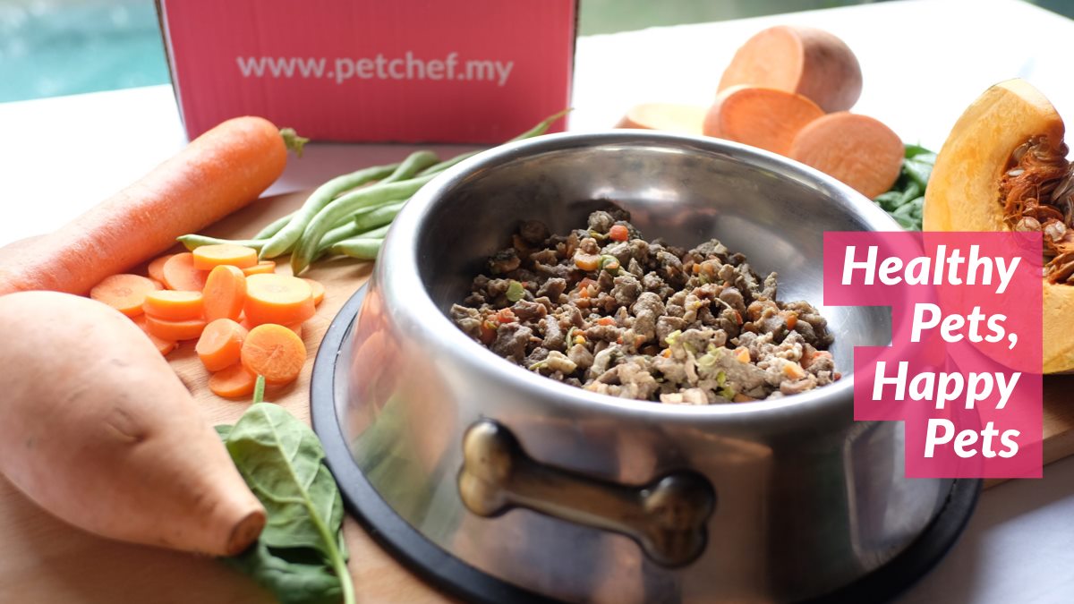 Thinking Of Making Fresh Homecooked Food For Your Furkids? Here's Your ...